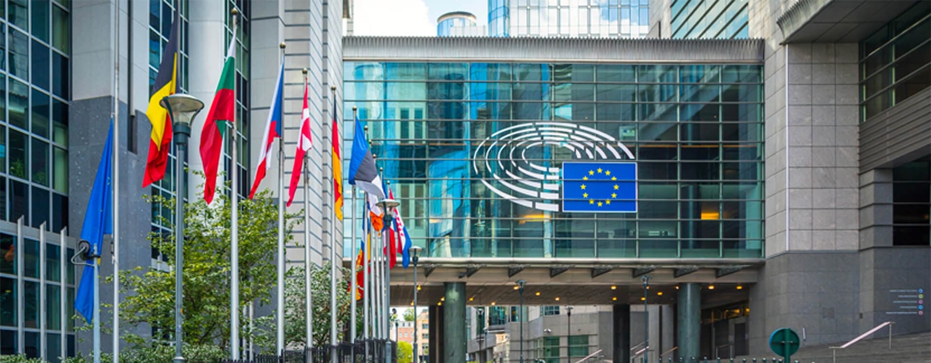 Pacte vert pour l'Europe : nouvelle loi pour les écosystèmes