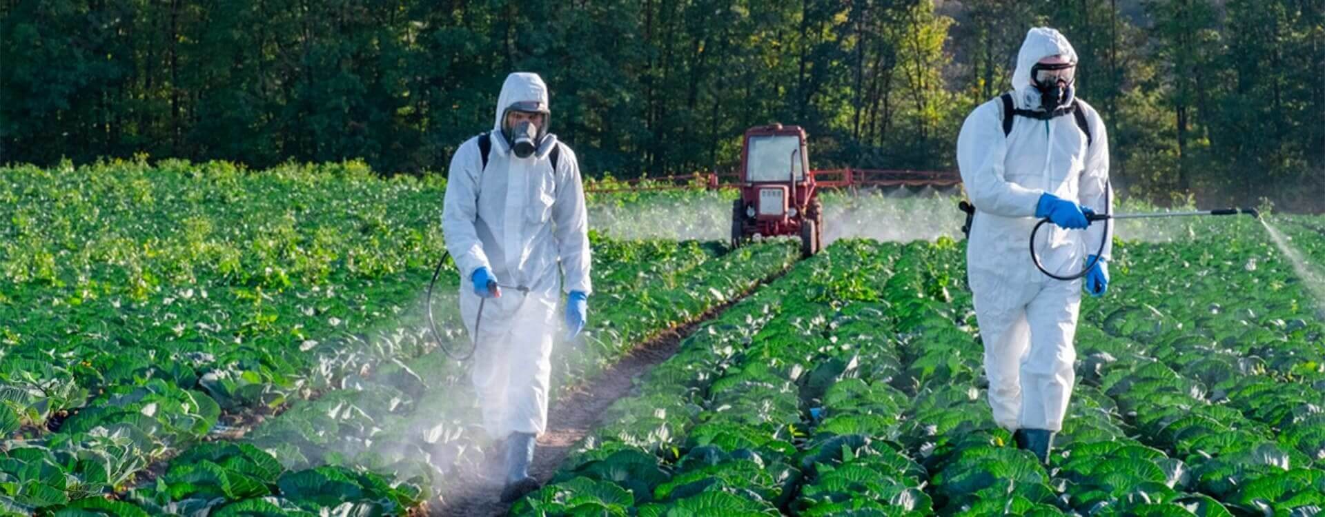 Quel est l'impact des pesticides sur la biodiversité ? | Biodiversité